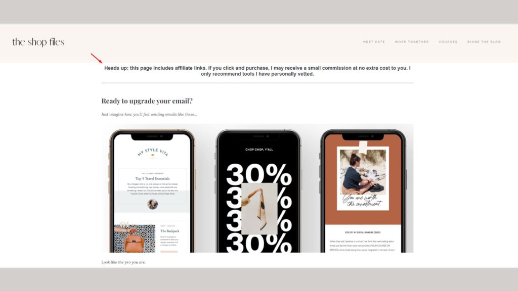 15 Best Affiliate Disclosure Examples & Best Practices - Uppromote